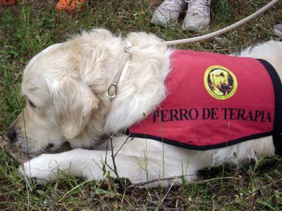 Conoce la Perro-Terapia