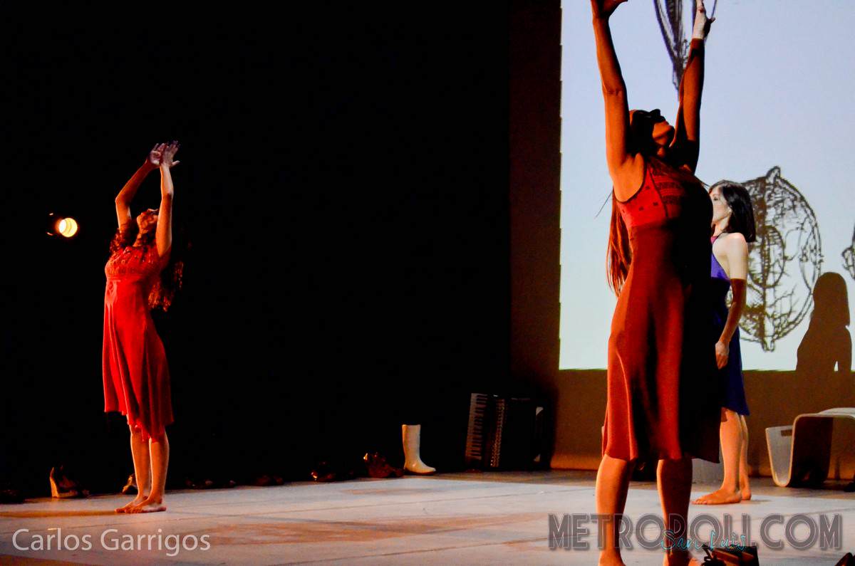 "Antropía": expone a la sociedad actual