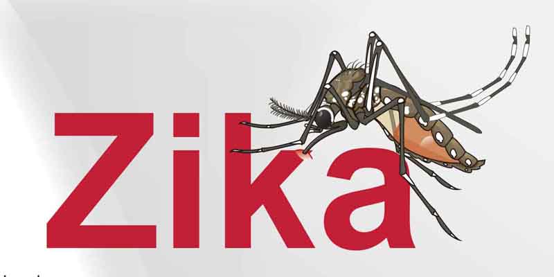Médicos de la UASLP difunden medidas para prevenir virus del zika