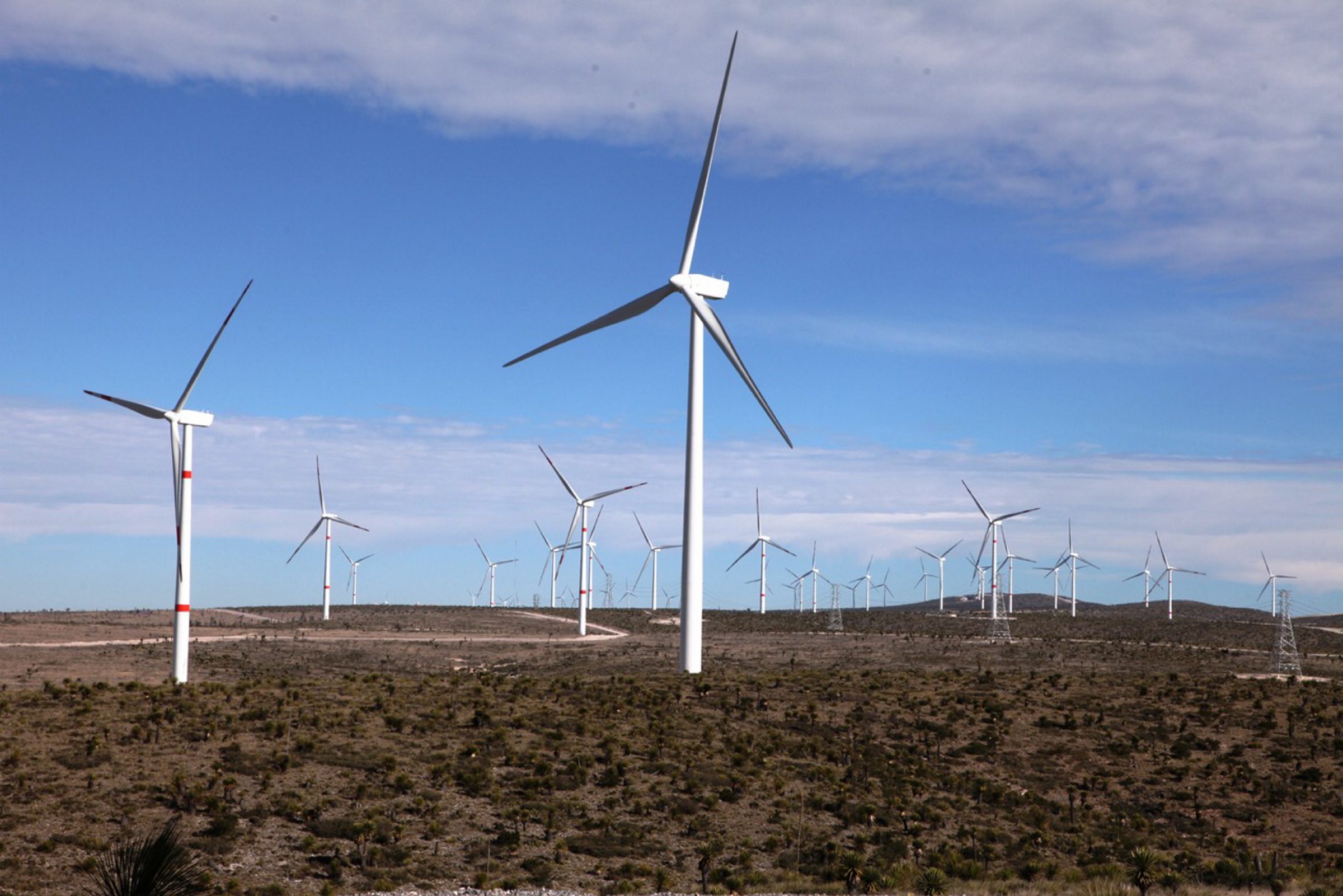 Parque eólico en Charcas daña al ecosistema