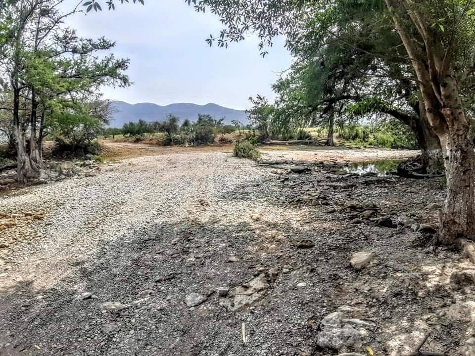 Se está secando completamente el Río Gallinas