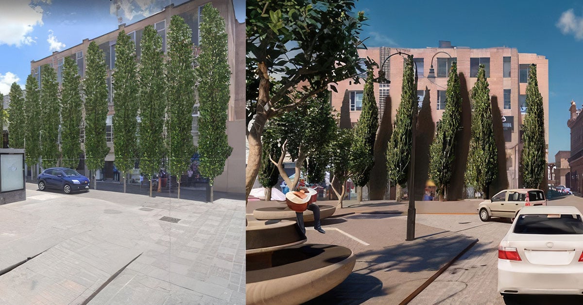 Impulsa patrimonio con barreras verdes, plan de conservación del Centro ...