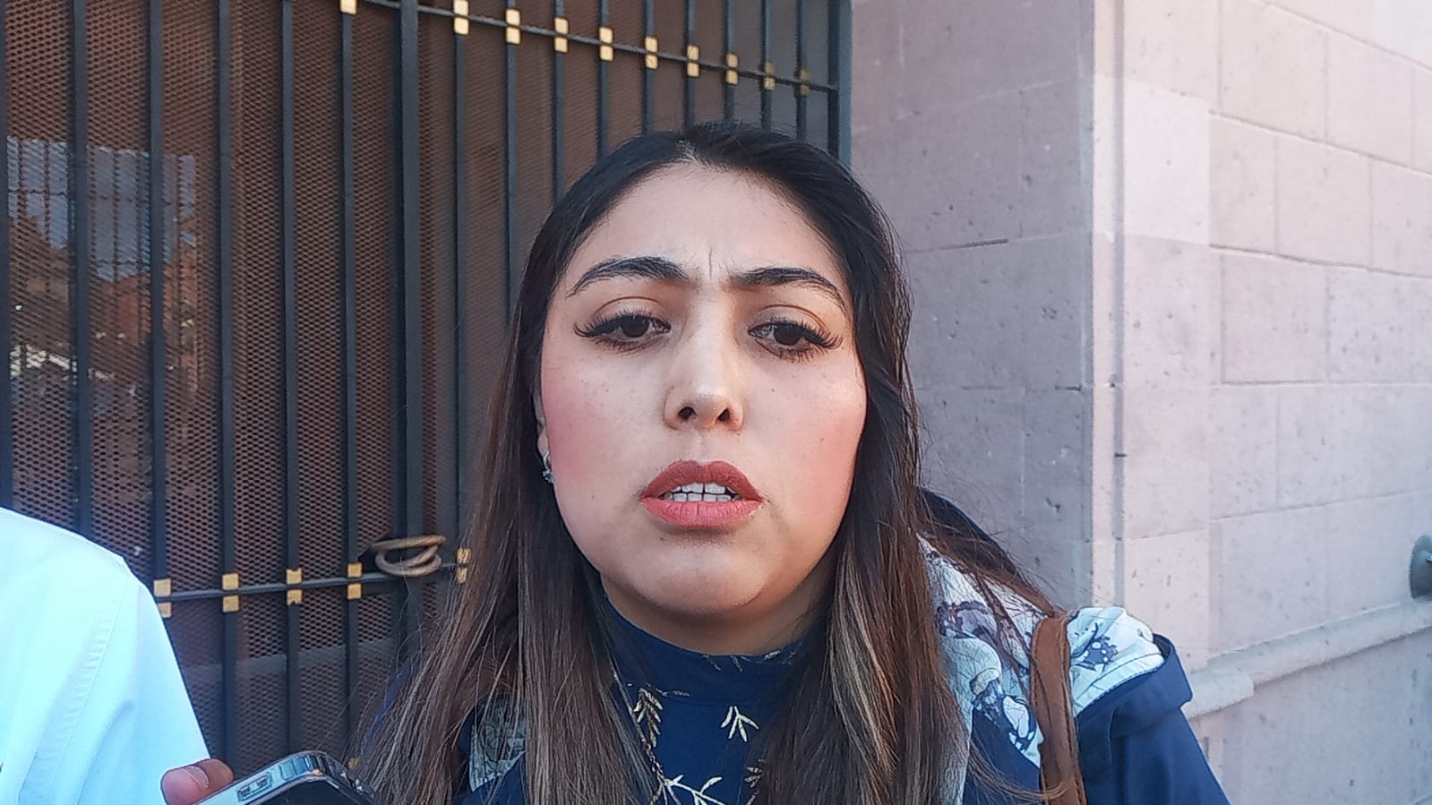 Diputada Lidia Nallely Vargas Hernández enfrenta acusaciones de ...
