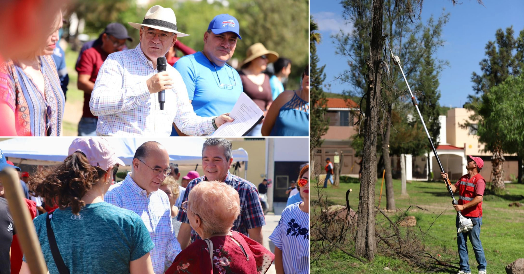 Alcalde Enrique Galindo encabeza labores de reforestación y ...