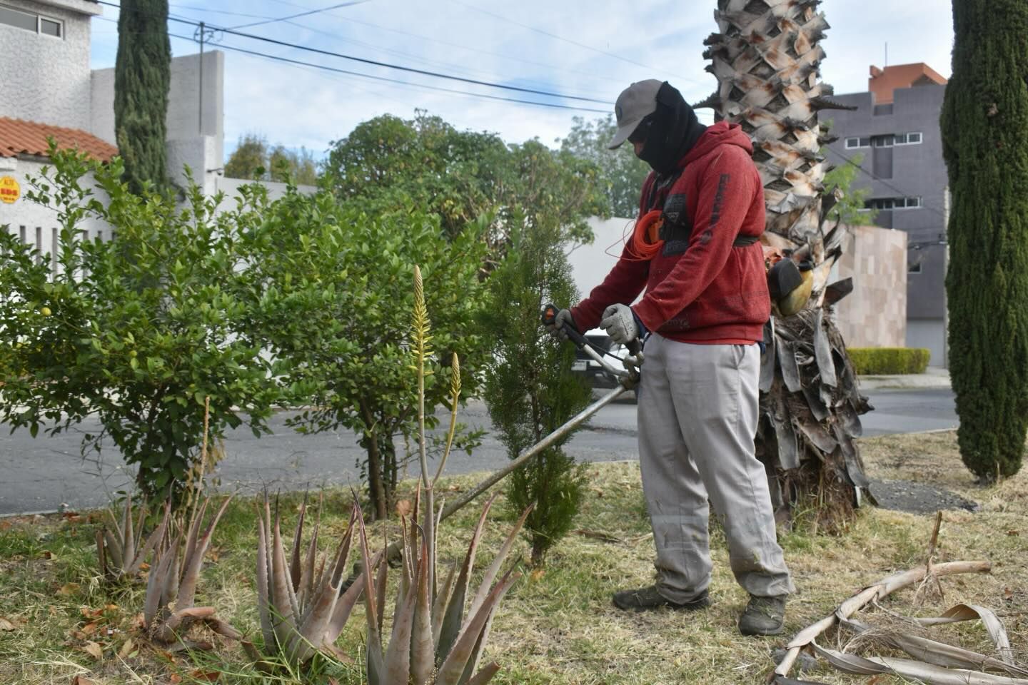Capital al 100 y Domingo de Pilas han intervenido más de 500 colonias en San Luis Capital