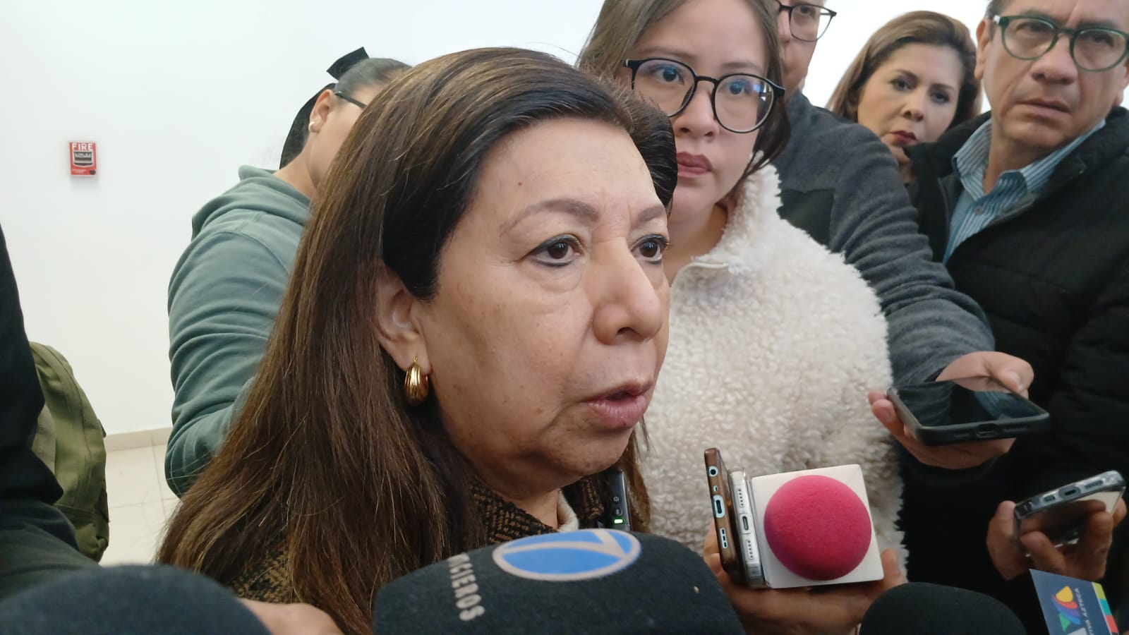 Manuela García Cázares, fiscal general del Estado, informa avances en ...